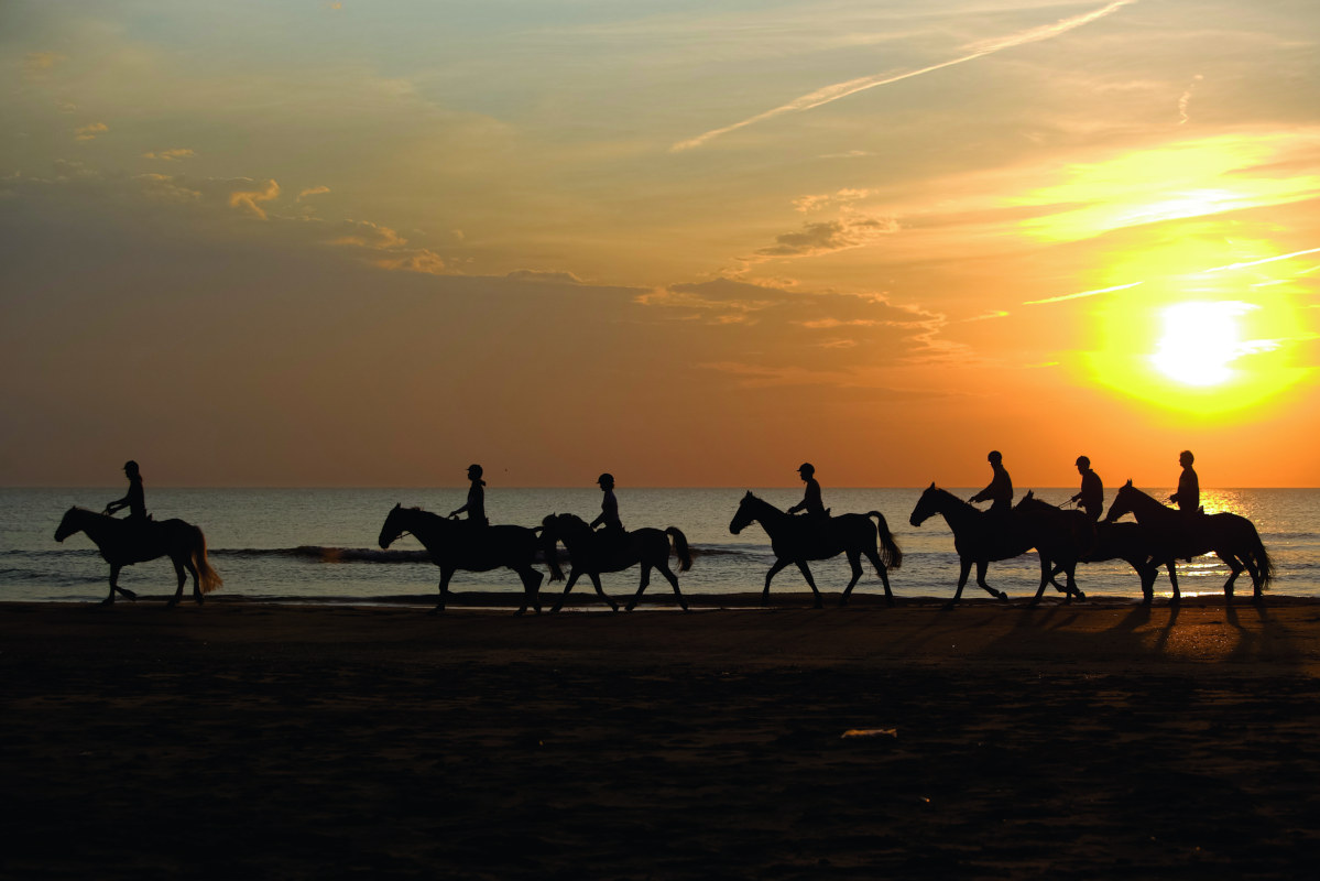 THE NETHERLANDS IN 2020 | The ultimate destination