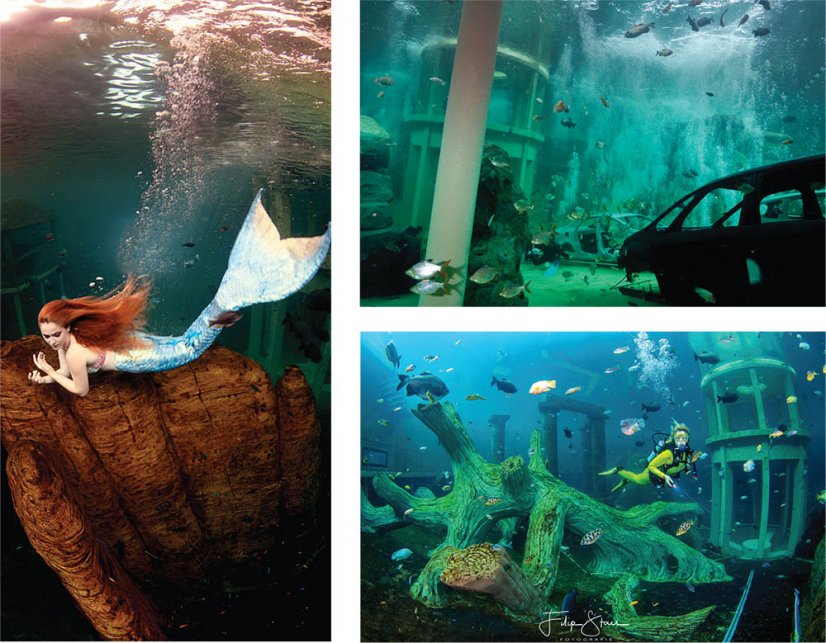 Todi: The ultimate diving experience in Belgium | Discover Benelux