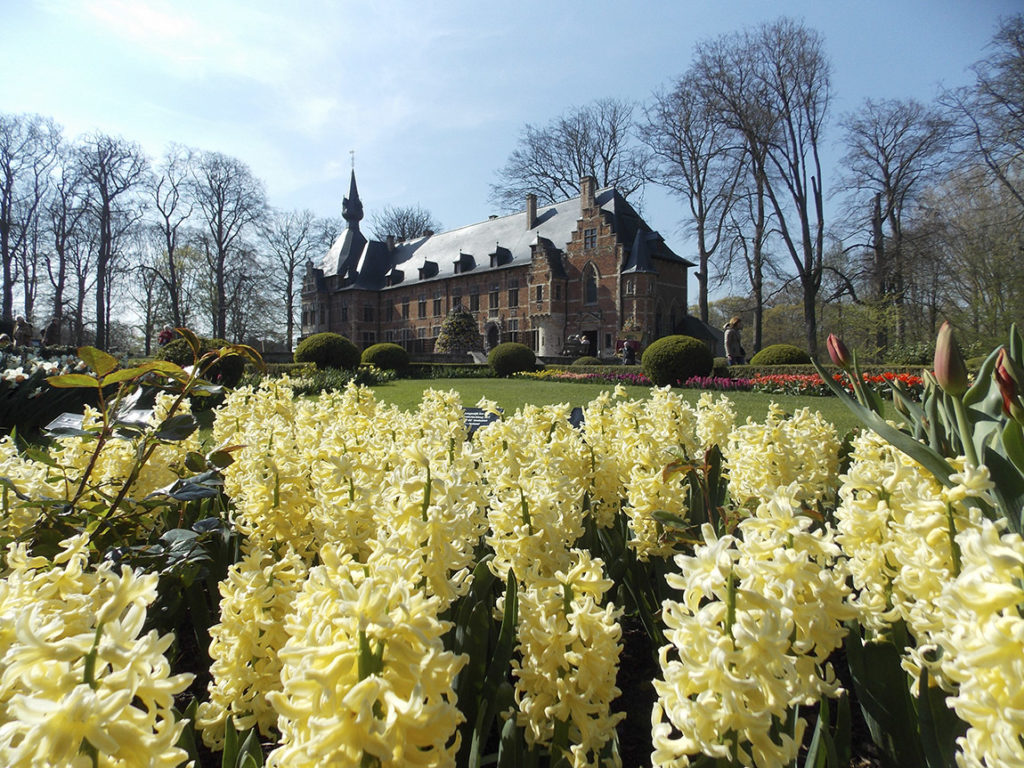 Tulip fever in Floralia | Discover Benelux