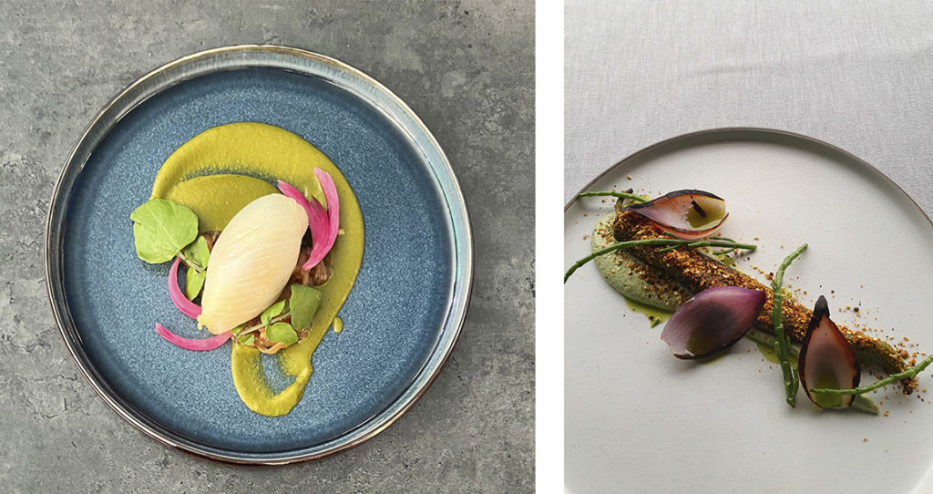 The plant-based food revolution | Discover Benelux