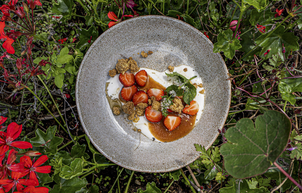 De Ceuvel: From toxic swamp to clean-tech playground